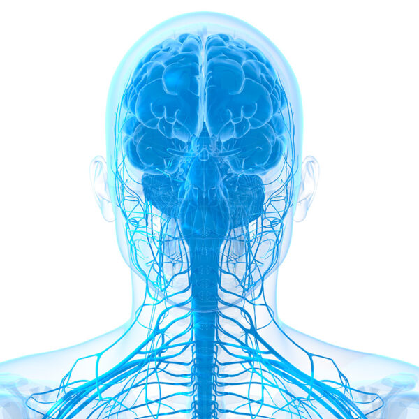 What is Peripheral Neuropathy | The Foundation for Peripheral Neuropathy