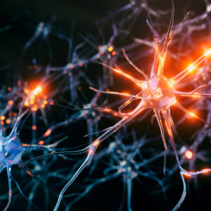 Symptoms | The Foundation for Peripheral Neuropathy