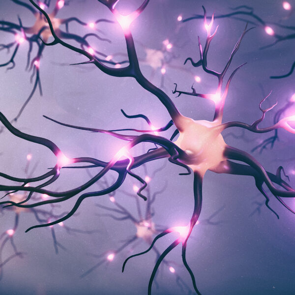 Symptoms | The Foundation for Peripheral Neuropathy